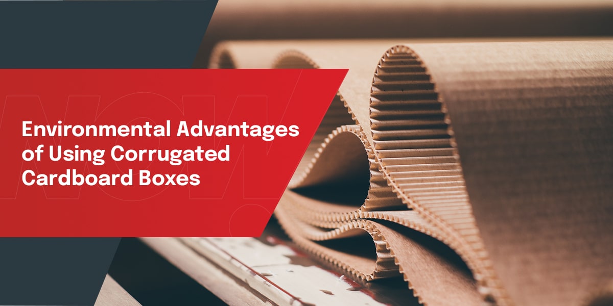 How Corrugated and Paper is Made. - Alexander Clark Printing